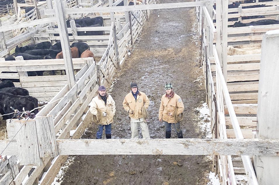 Idaho brand board pursues long-range plan to address budget shortfalls ...